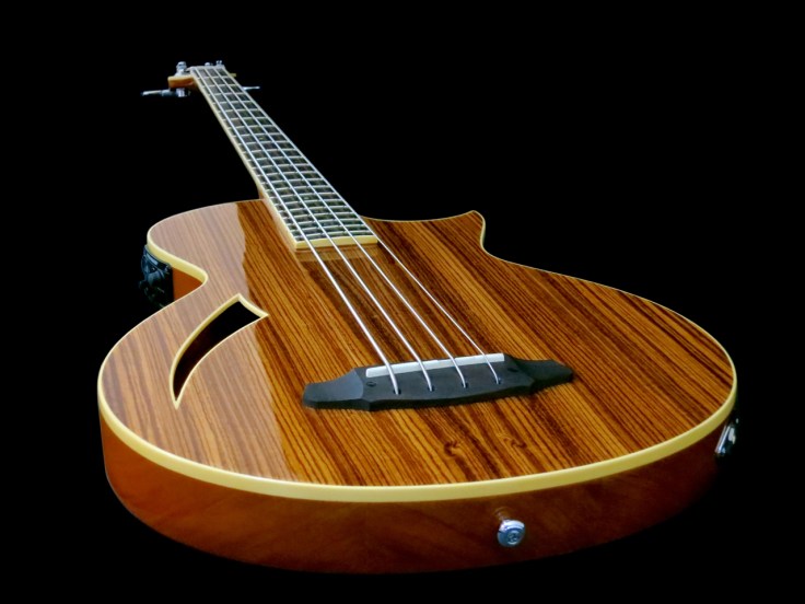 Review: ESP LTD Thinline TL-6Z, TL-4Z + TL-6N – Kitarablogi.com ...