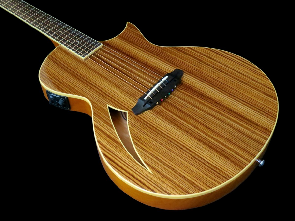 Review: ESP LTD Thinline TL-6Z, TL-4Z + TL-6N – Kitarablogi.com ...