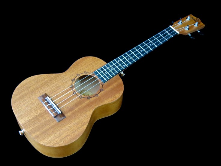 Kitarablogi’s Ukulele Round-up 2017 – Kitarablogi.com – Finland's ...